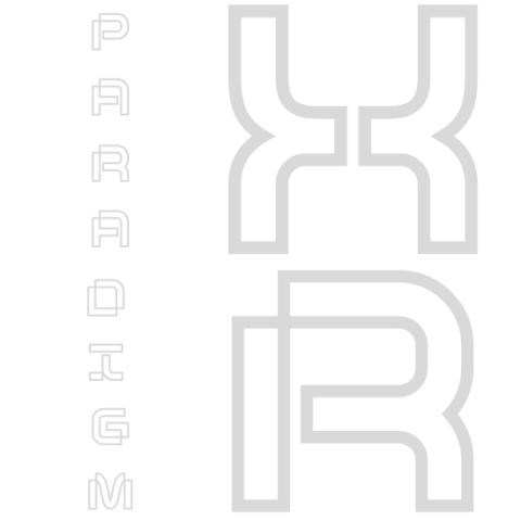 Blog Boxed - ParaDigmXR